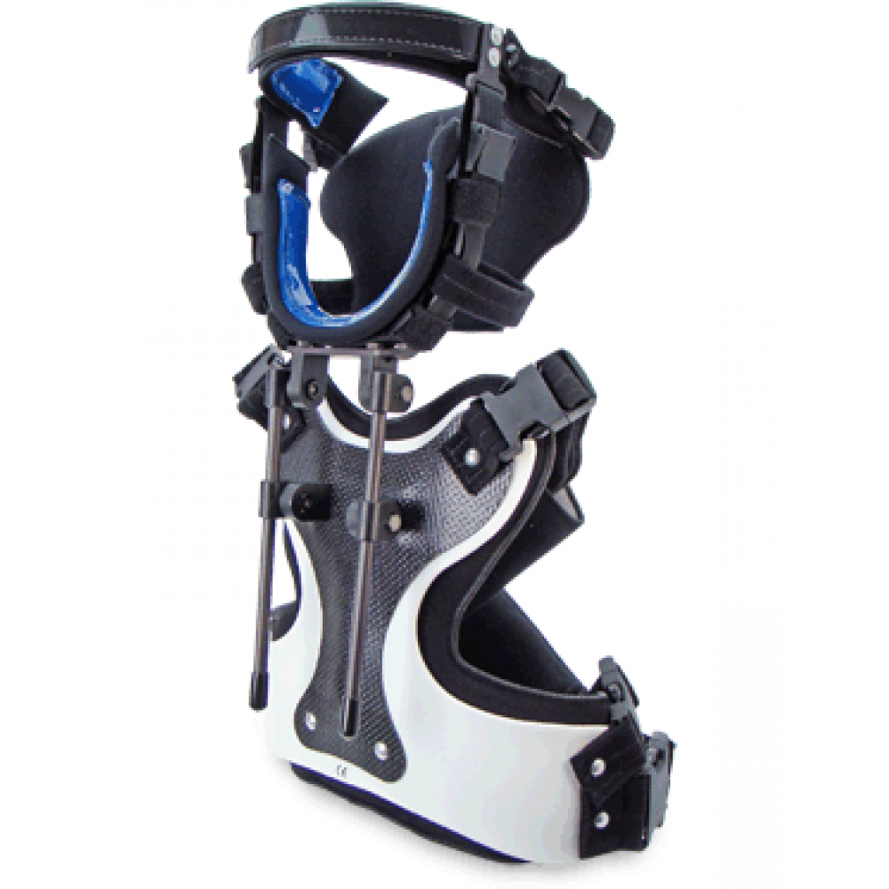Lerman Non-invasive Halo Brace - Non-Invasive Halo - Spine Non-Invasive ...